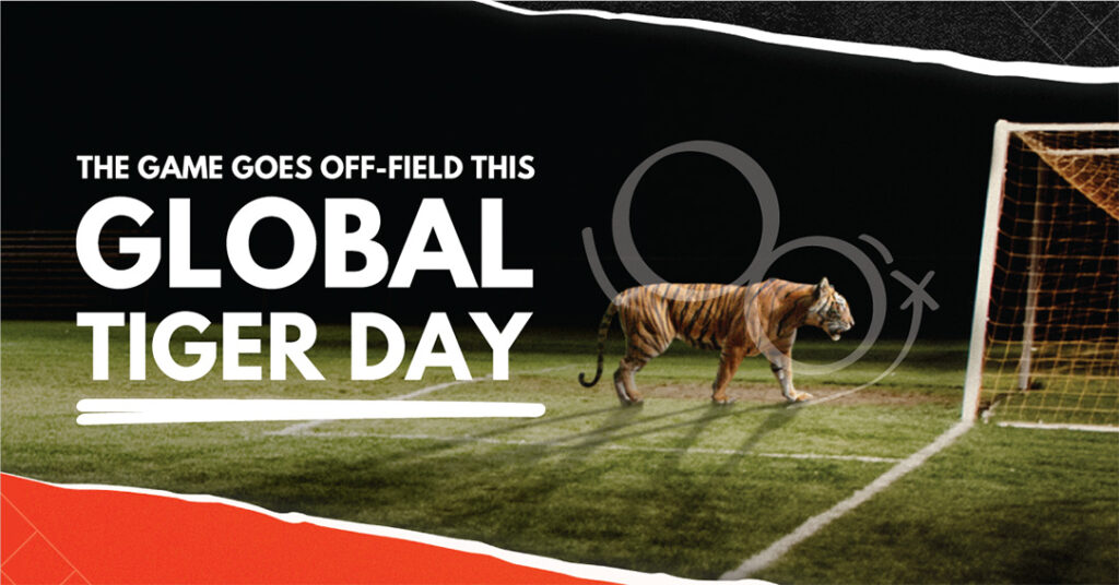 #ScoreForTigers- Turning Football Fans into Tiger Fans | Creative Brands